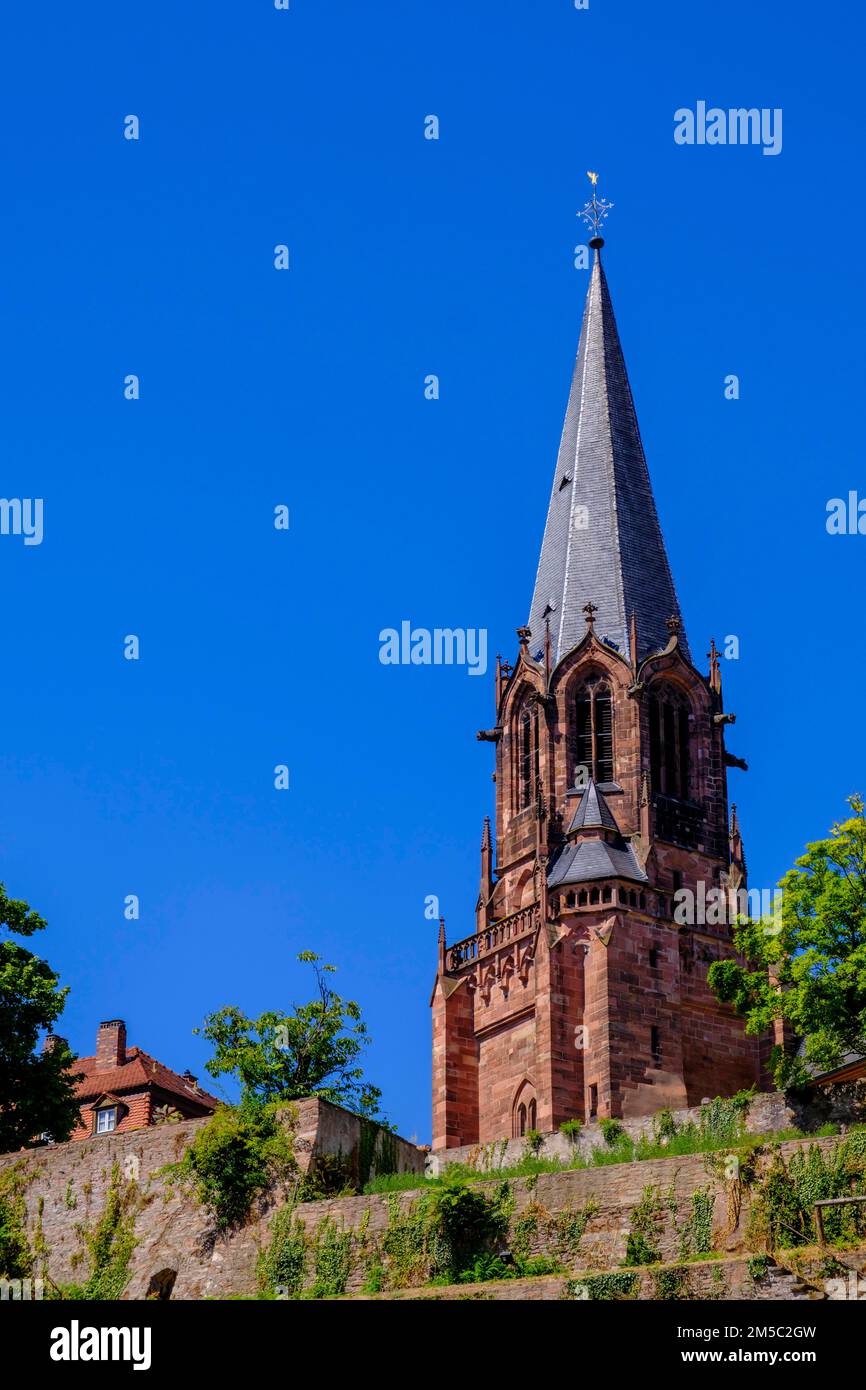 Collegiate Basilica of St. Peter and Alexander, Johannisburg Castle ...