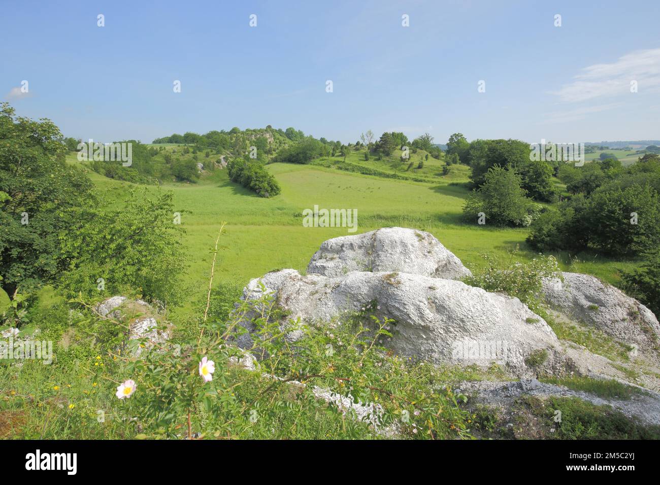 Landscape with limestone rocks Kripp- und Hieloecher, Frankenshausen ...