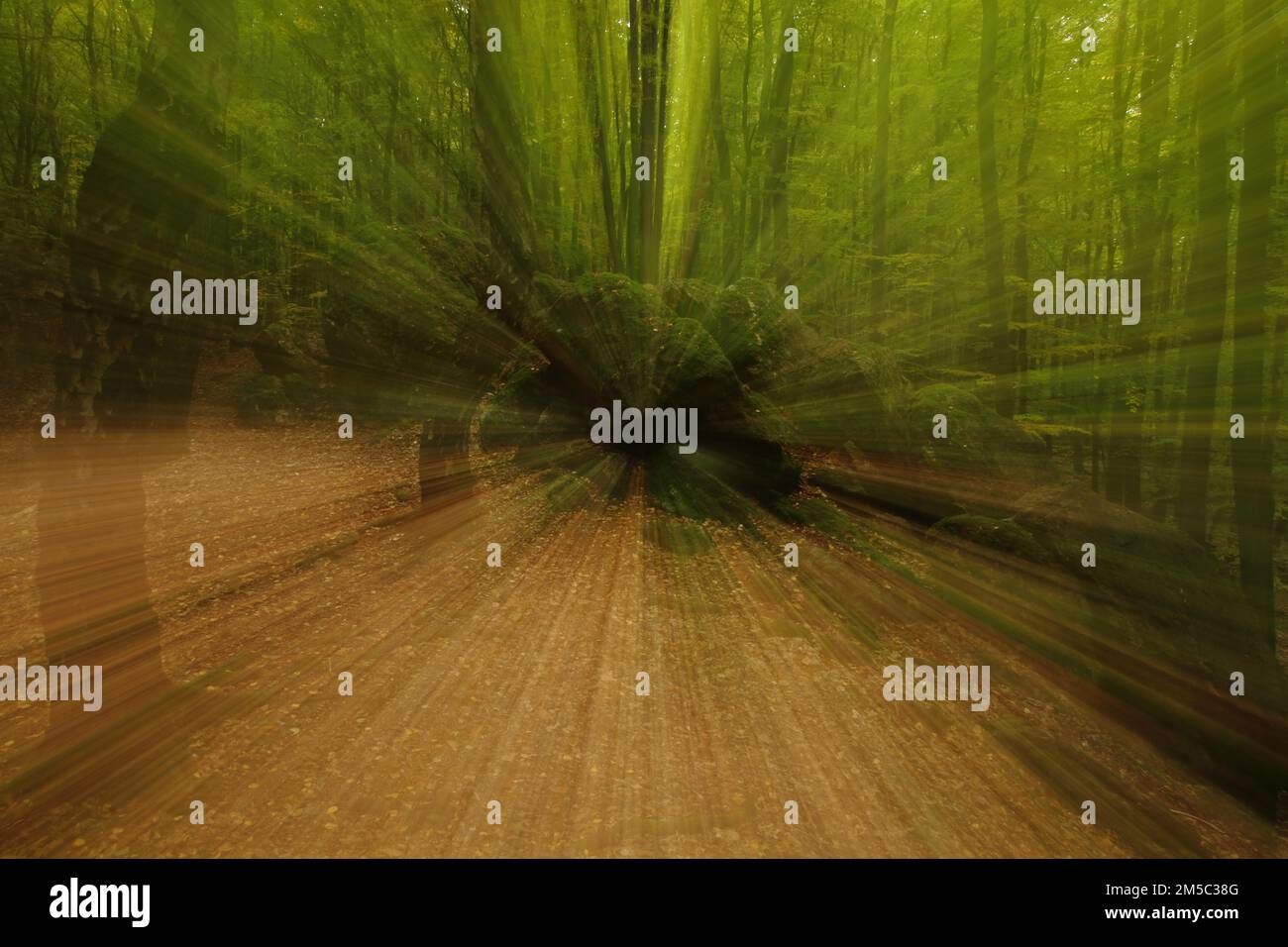 Rock and tree trunk in the forest with zoom effect, photo art, Bremthal ...