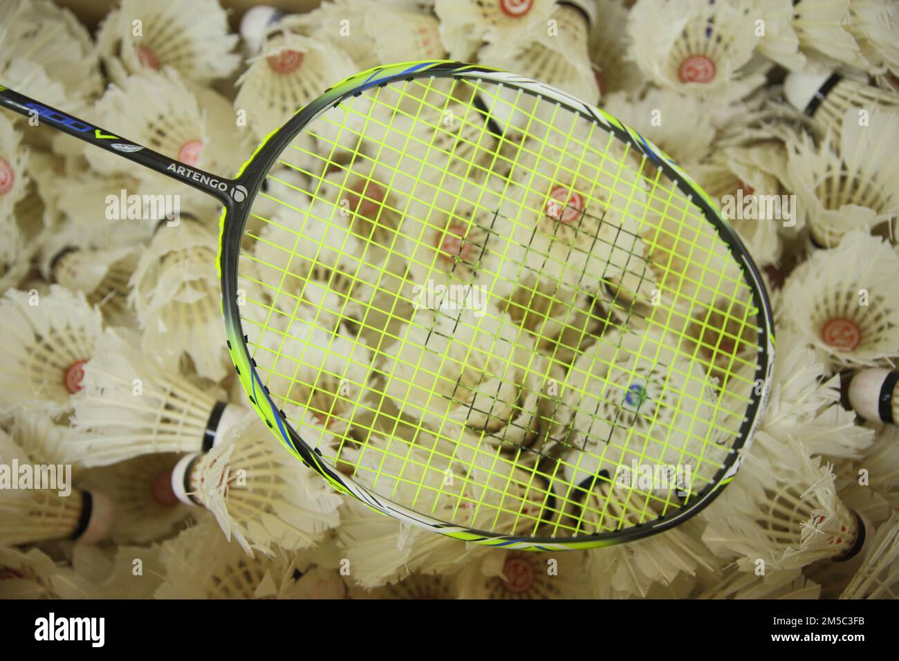 Badminton racket with shuttlecocks, pile, amount, number, much, sport ...