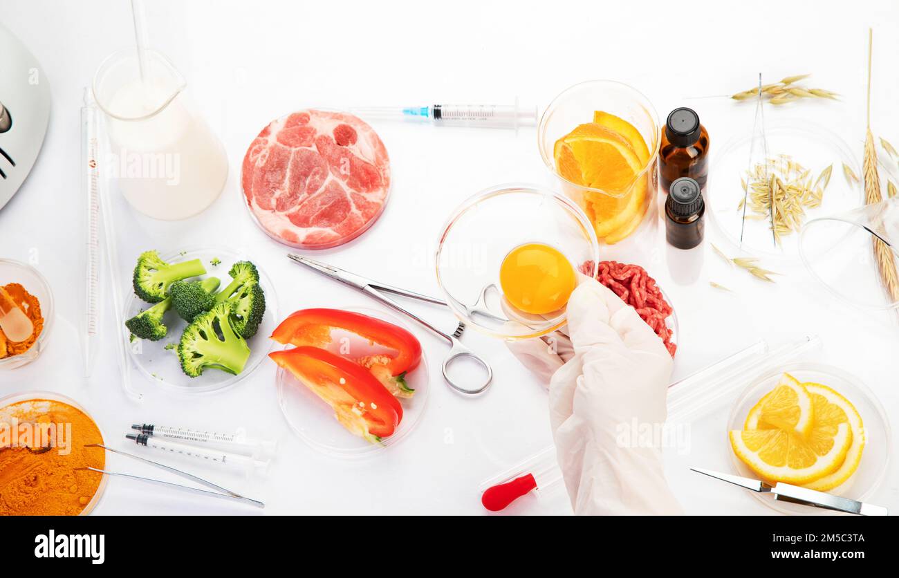 Laboratory assistant in the laboratory of food quality. Cell culture ...