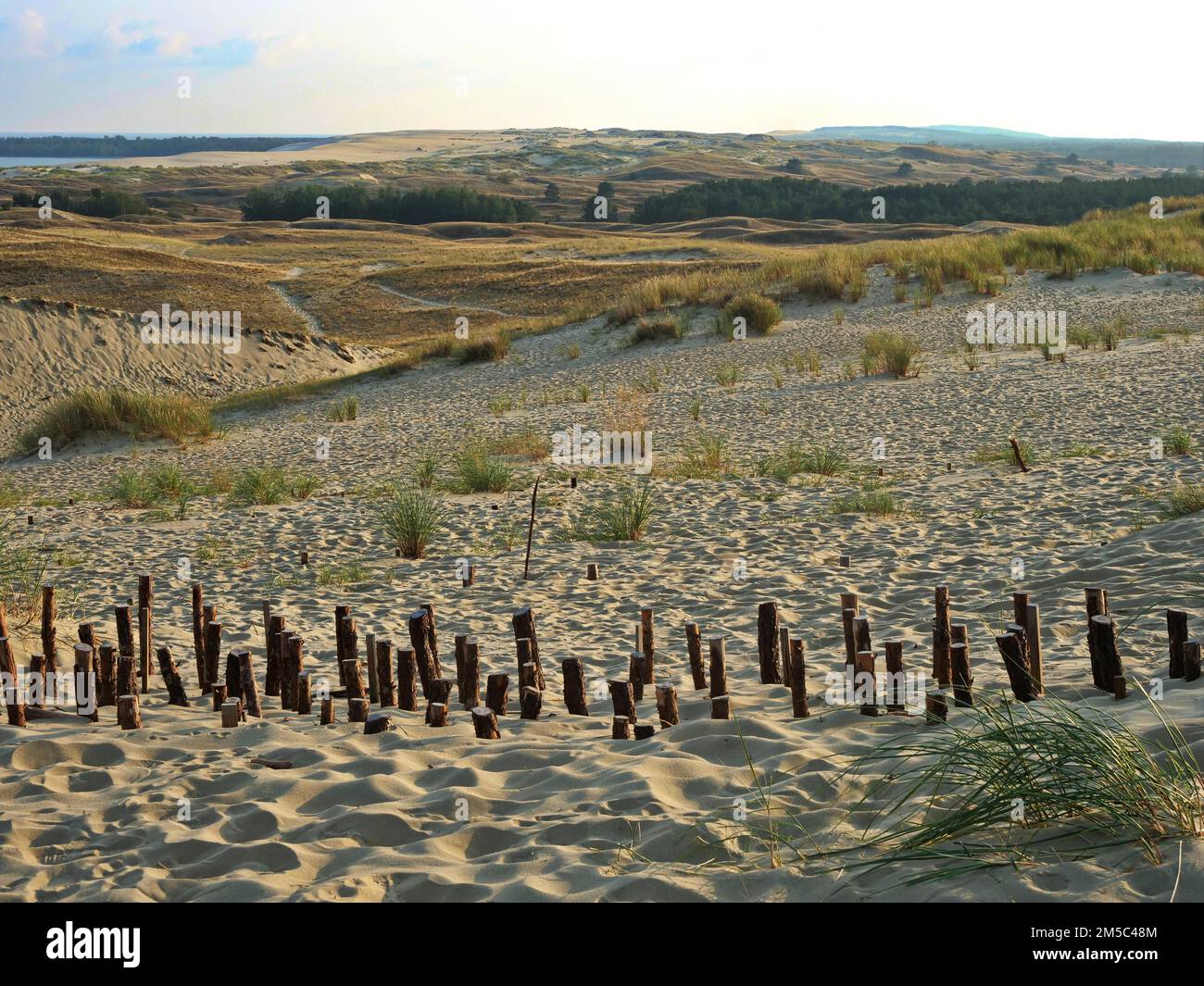 The Parnidis Dune in the Curonian Spit National Park is one of the ...