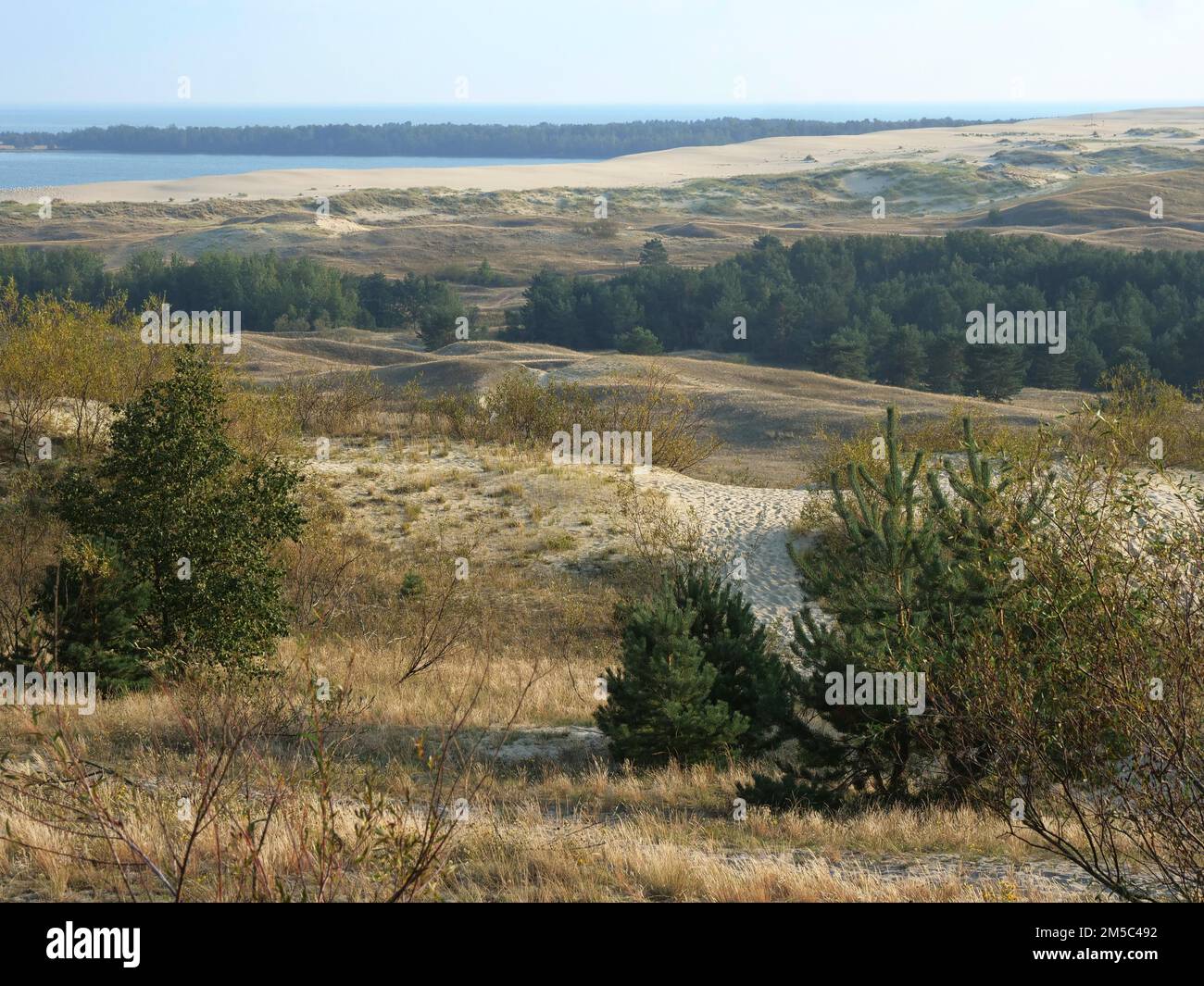 The Parnidis Dune in the Curonian Spit National Park is one of the ...