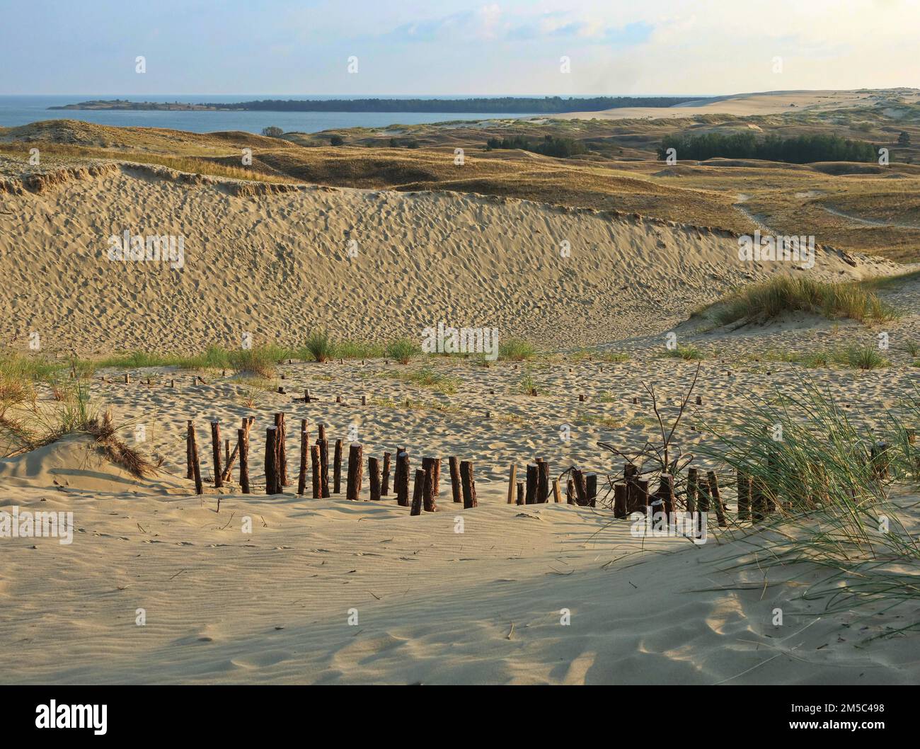 The Parnidis Dune in the Curonian Spit National Park is one of the ...