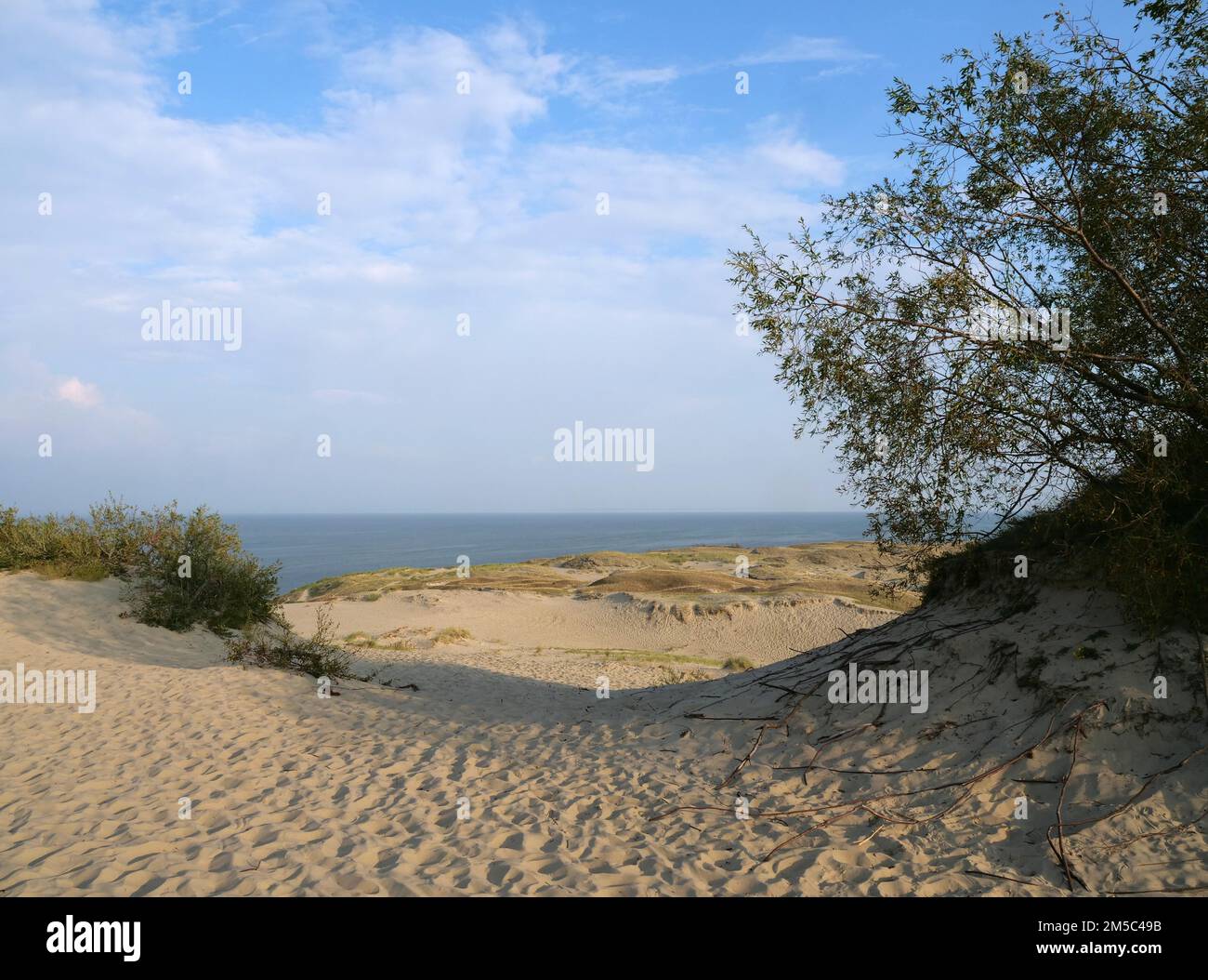 The Parnidis Dune in the Curonian Spit National Park is one of the ...