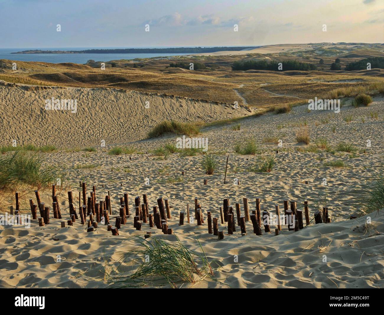 The Parnidis Dune in the Curonian Spit National Park is one of the ...