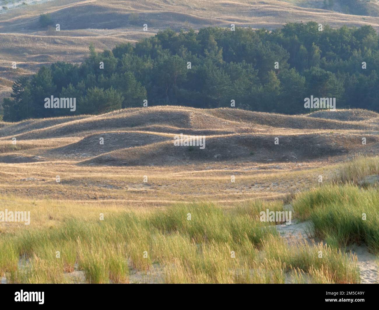 The Parnidis Dune in the Curonian Spit National Park is one of the ...