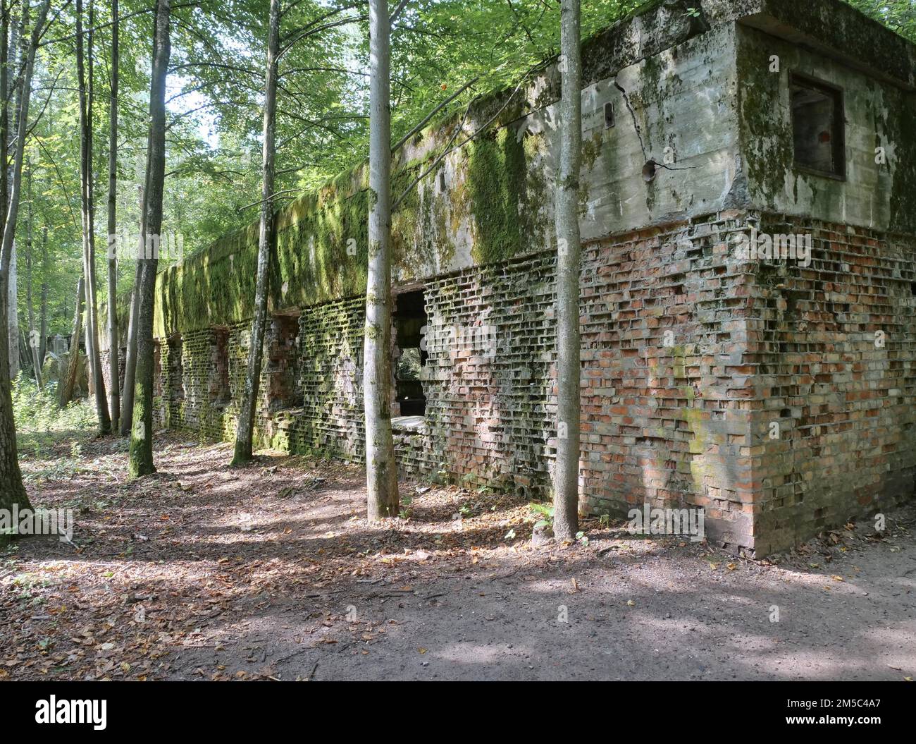 Ruins of the Wolf's Lair (also Wolf's Lair or Goerlitz), the military ...