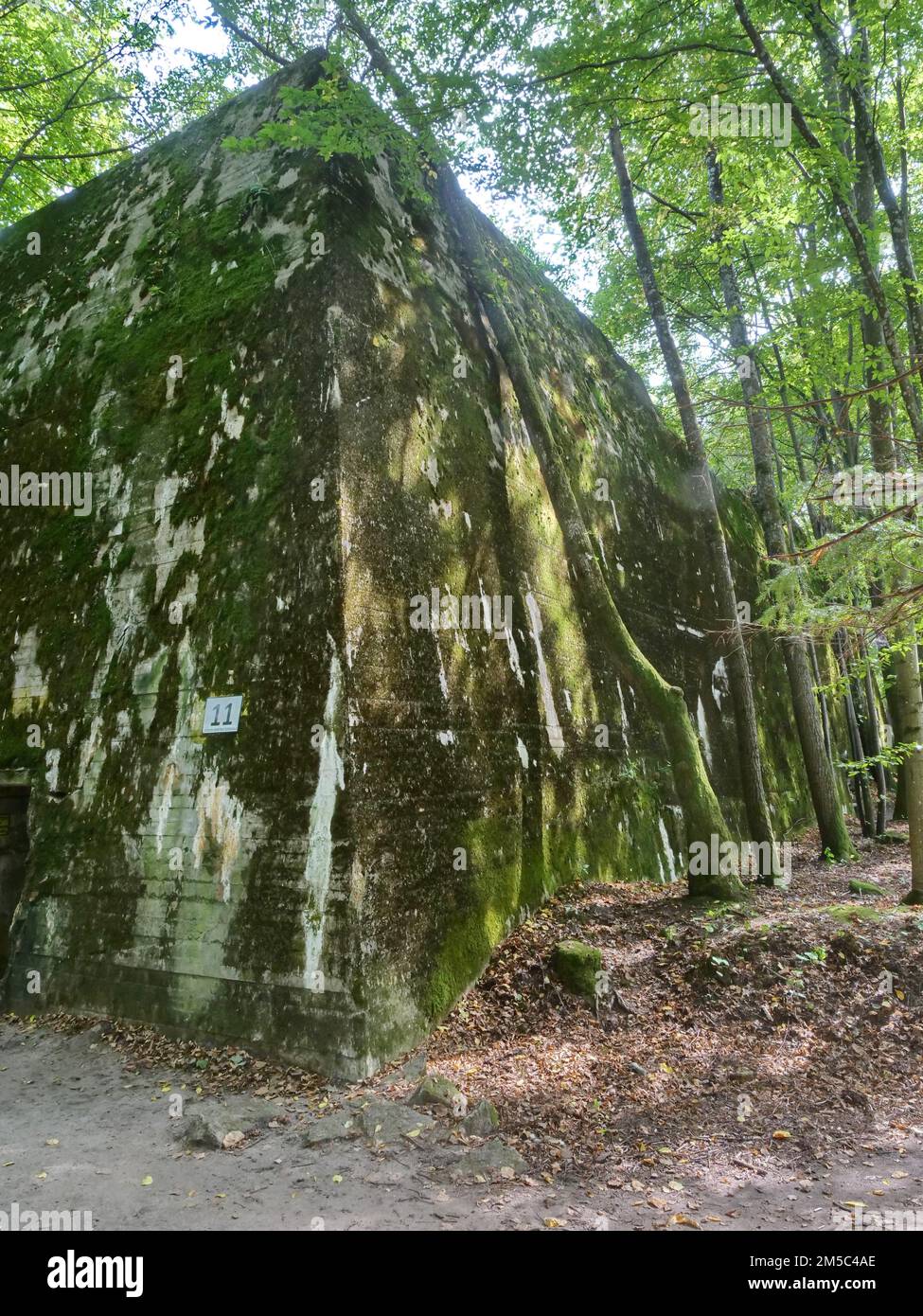 Ruins of the Wolf's Lair (also Wolf's Lair or Goerlitz), the military ...