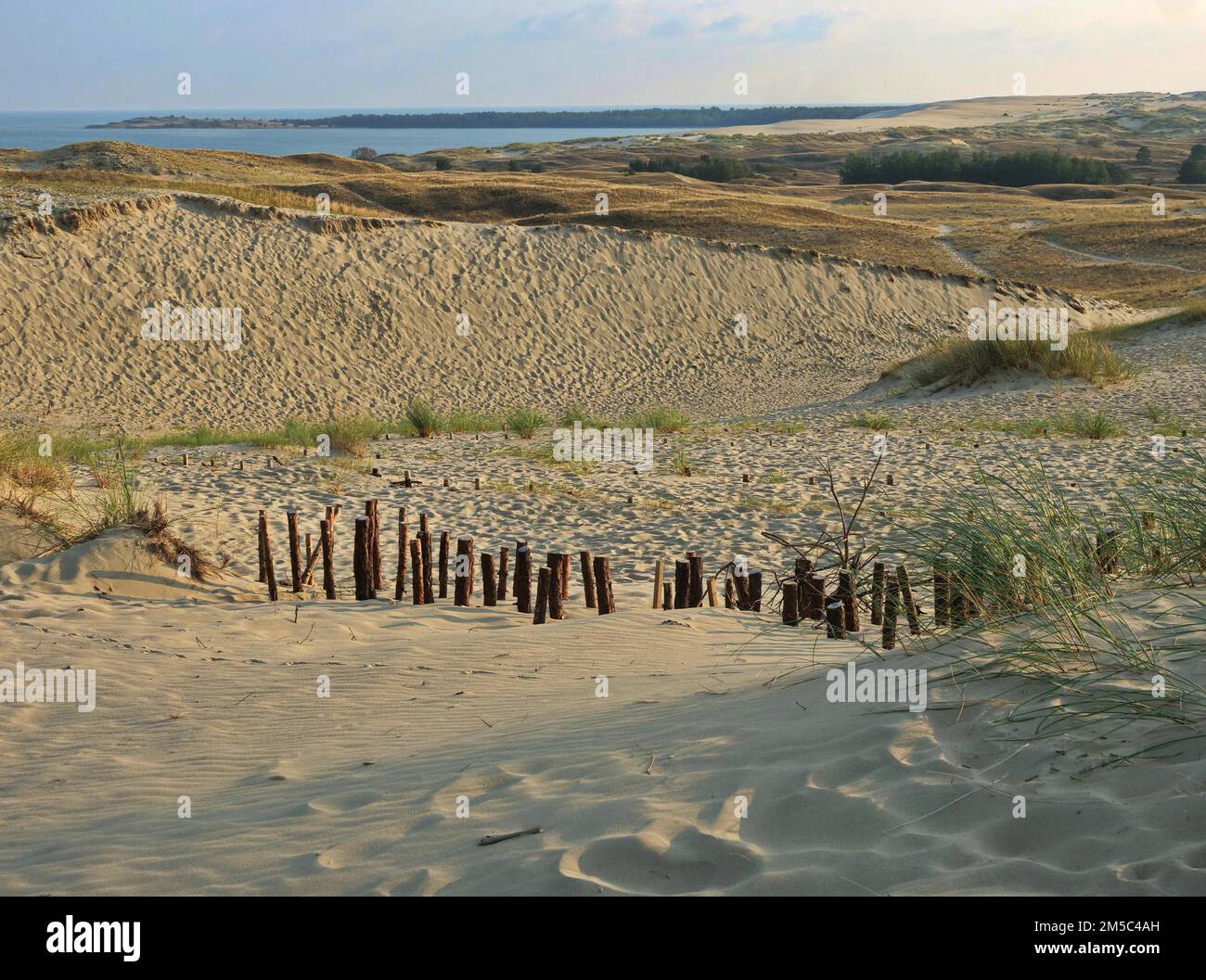 The Parnidis Dune in the Curonian Spit National Park is one of the ...
