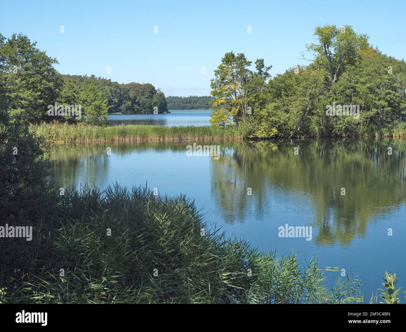 Landscape at the Schaalsee at the peninsula Kampenwerder in the UNESCO ...