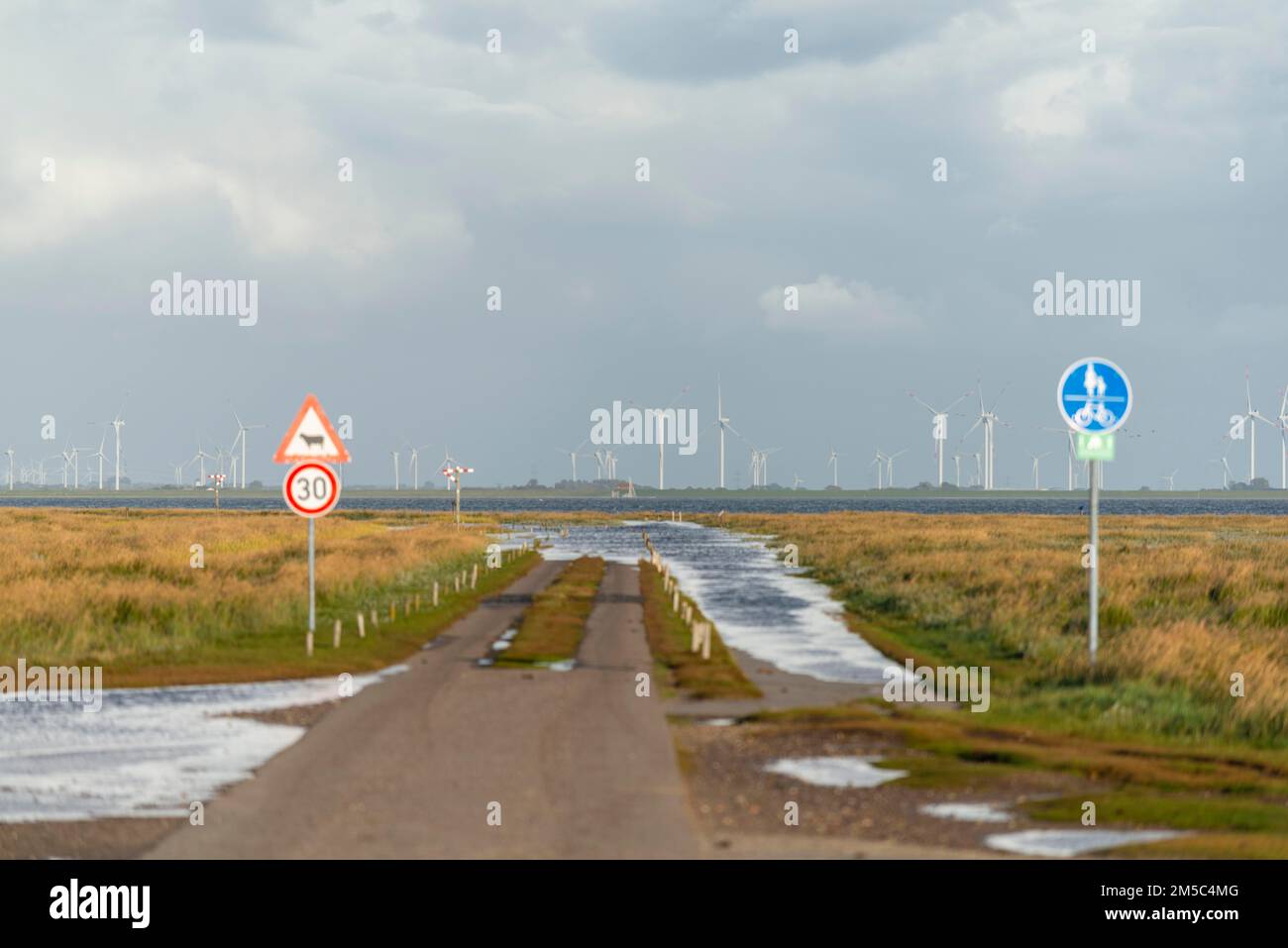 Hamburg Hallig, traffic sign, caution sheep, car, wind turbines in the ...