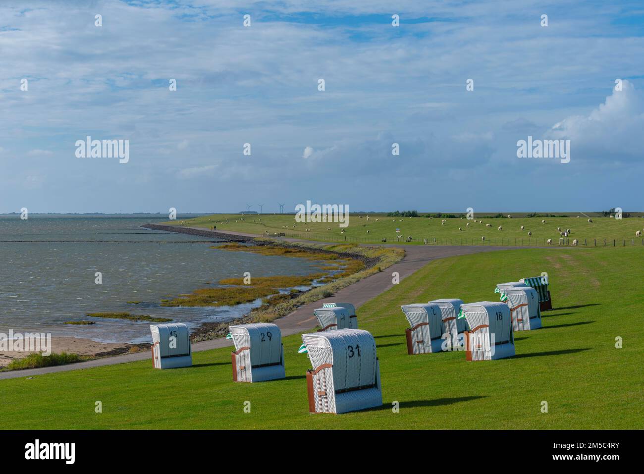 Beach chairs on the North Sea dike, flock of sheep, Fuhlehoern ...