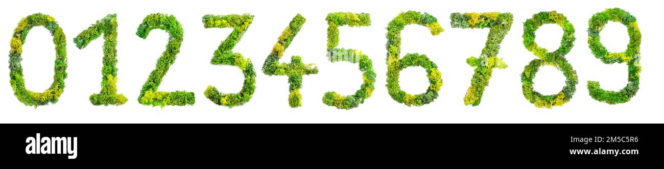 0123456789 numbers, made with green lichen isolated on white background ...