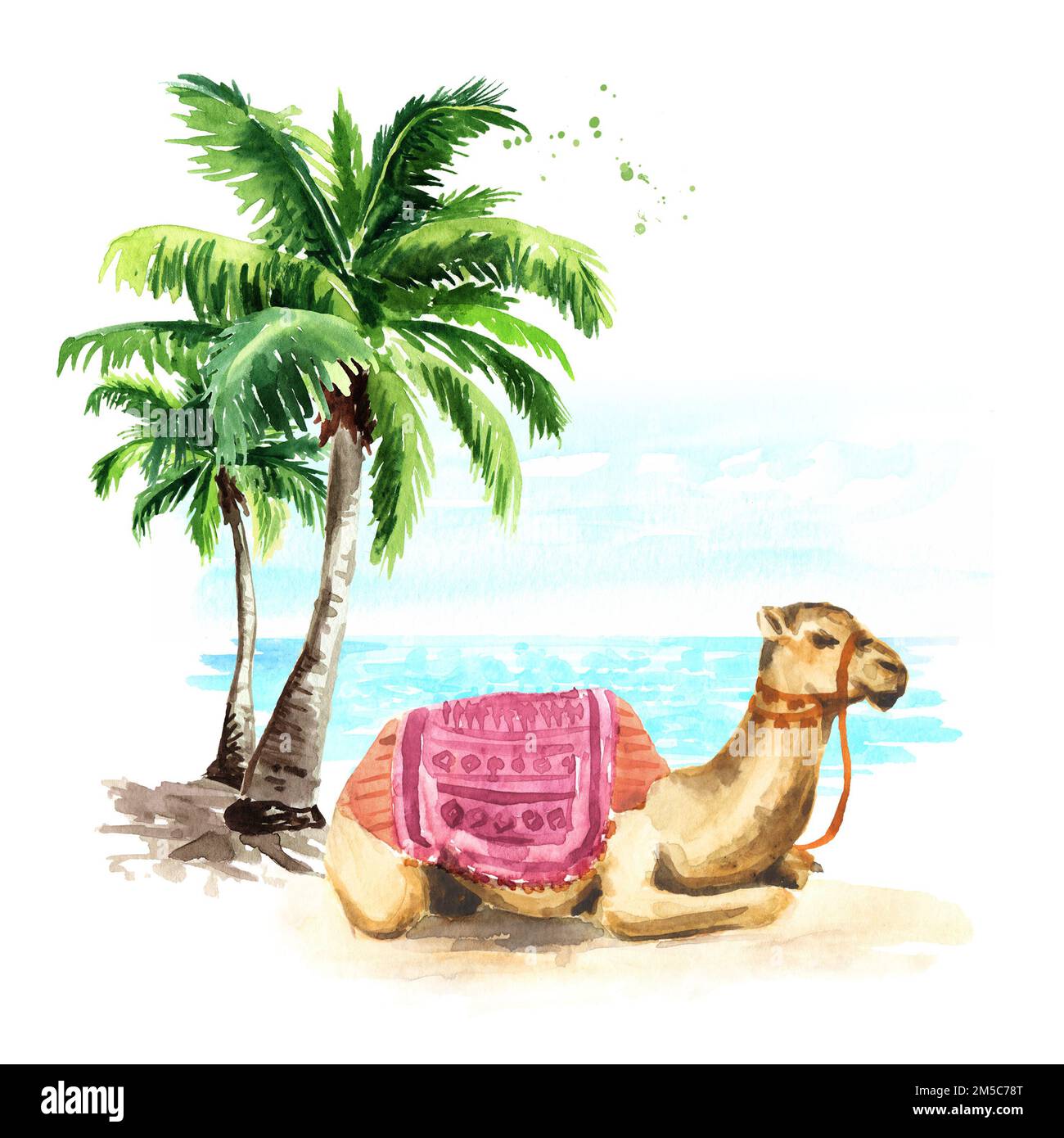 Camel resting on the seaside. Hand drawn watercolor illustration ...