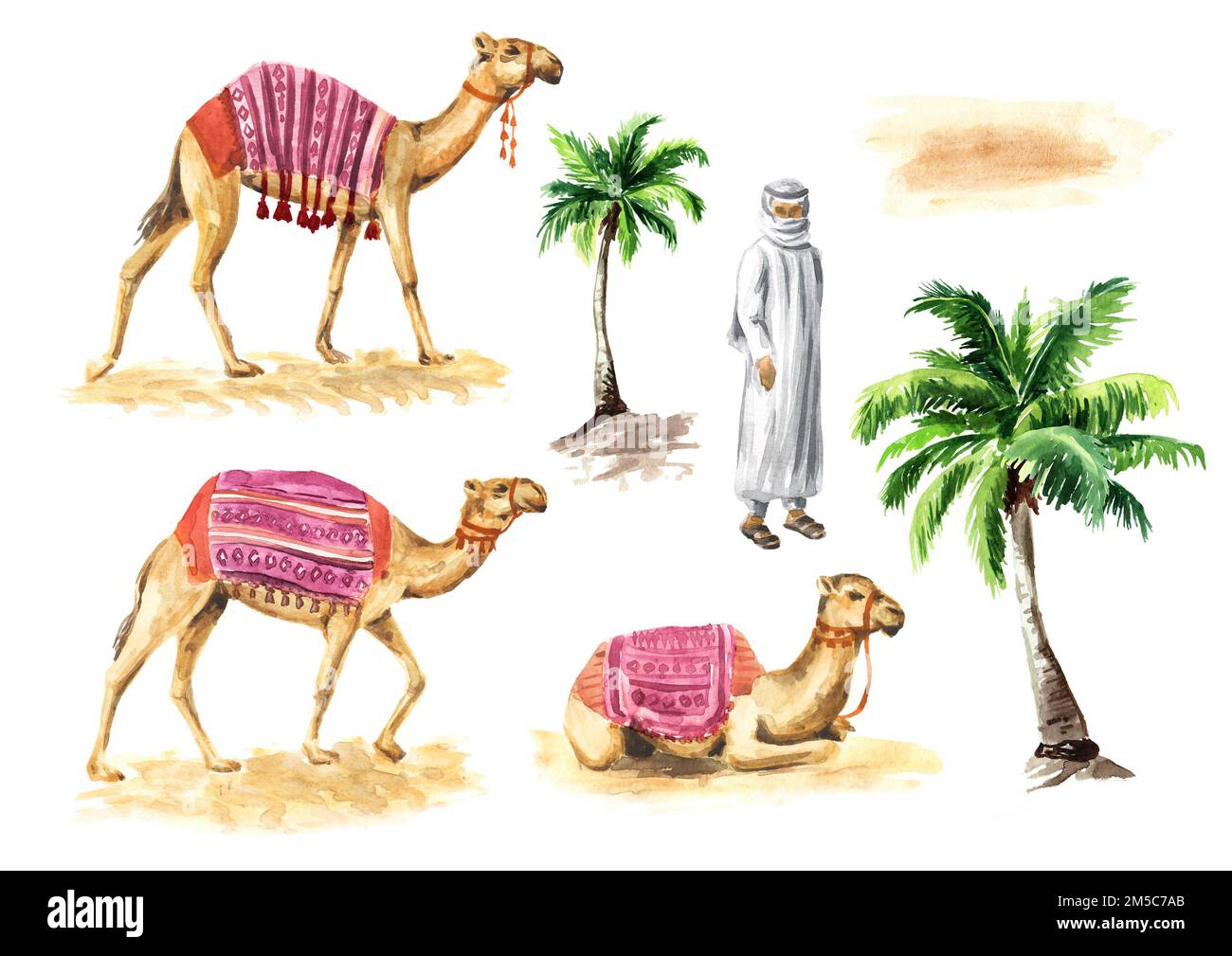 Camels with Bedouin set. Hand drawn watercolor illustration isolated on ...