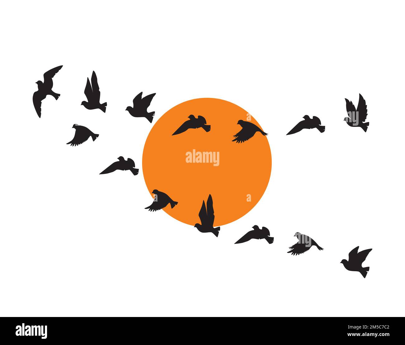 Flying Birds Silhouettes On Sunset Isolated On White Background Vector