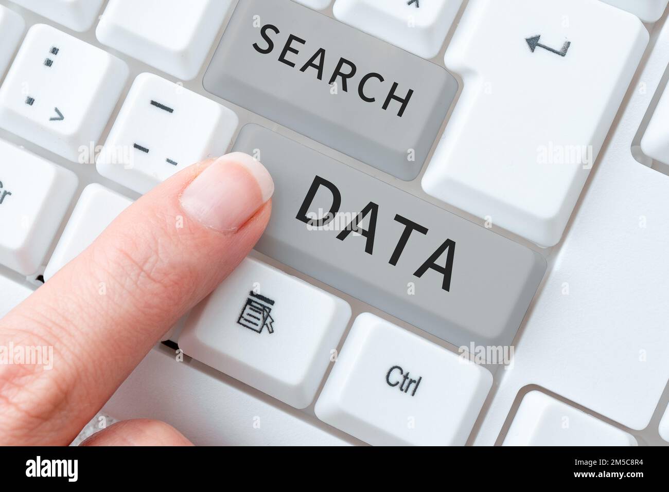 Text showing inspiration Search Data. Internet Concept efficient retrieval of specific items ...