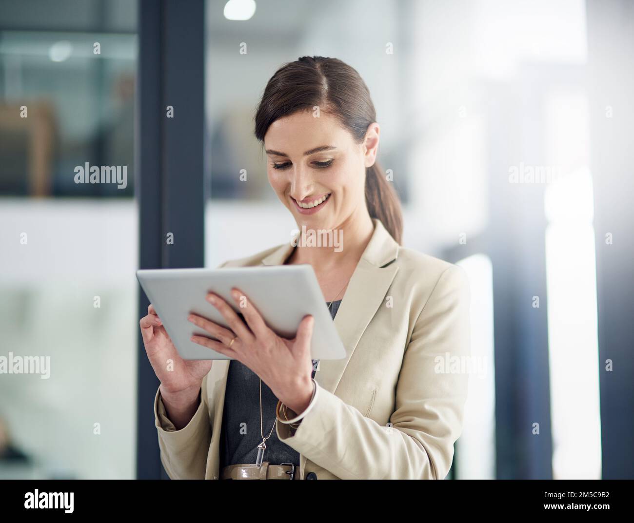 Portability and productivity thanks to one gadget. a professional ...