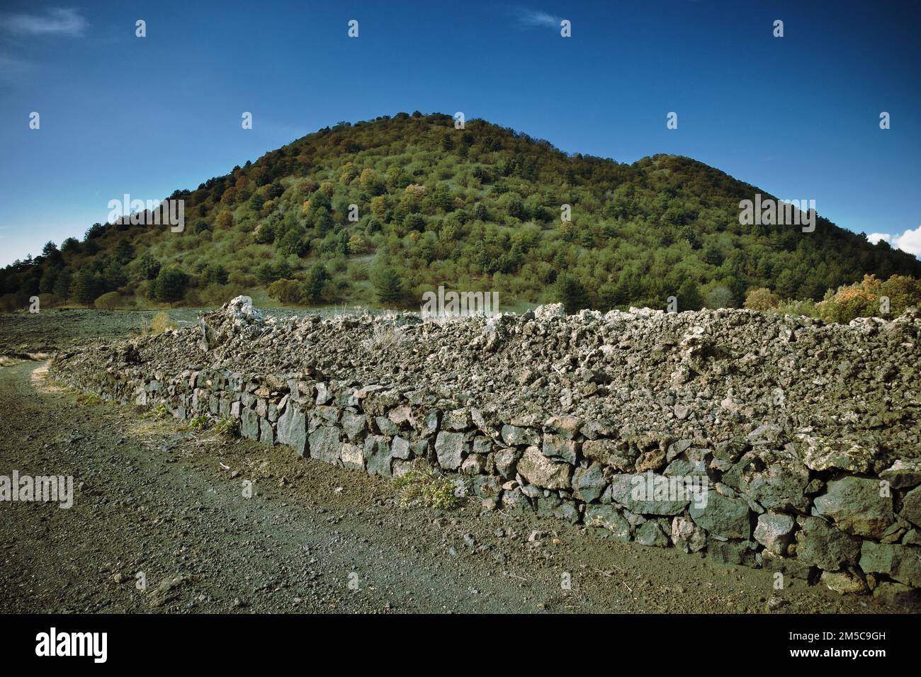 volcanic landscape with old lateral volcano covered of trees in Sicily ...