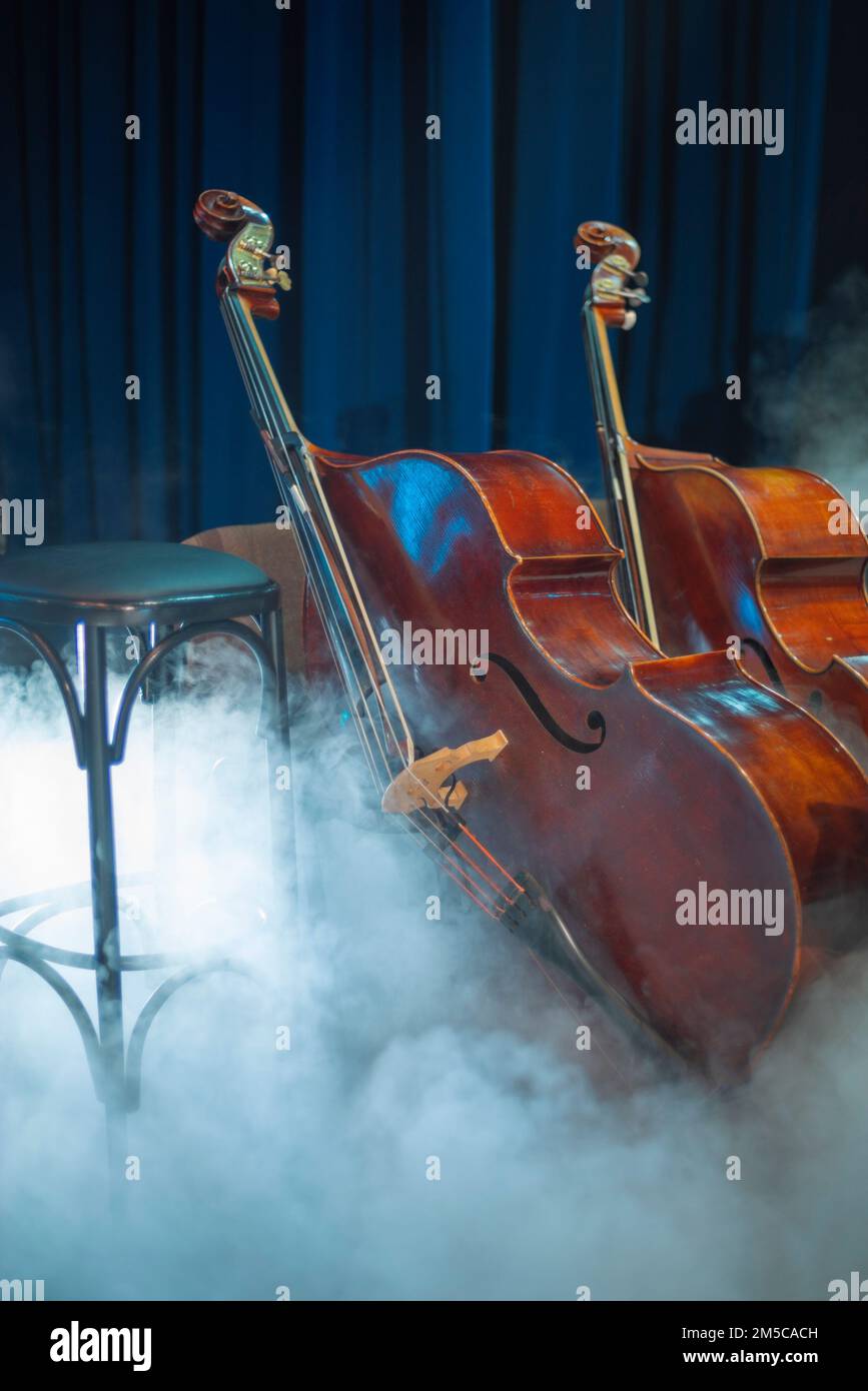 Double bass musical instrument hi-res stock photography and images - Alamy