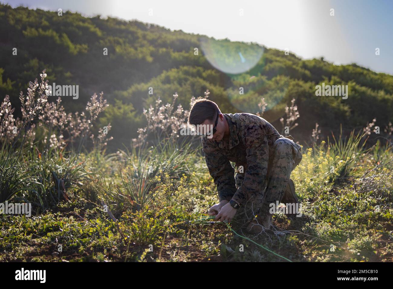 U.S. Marine Corps Sgt. Jordan Blattler, an Explosive Ordnance Disposal ...