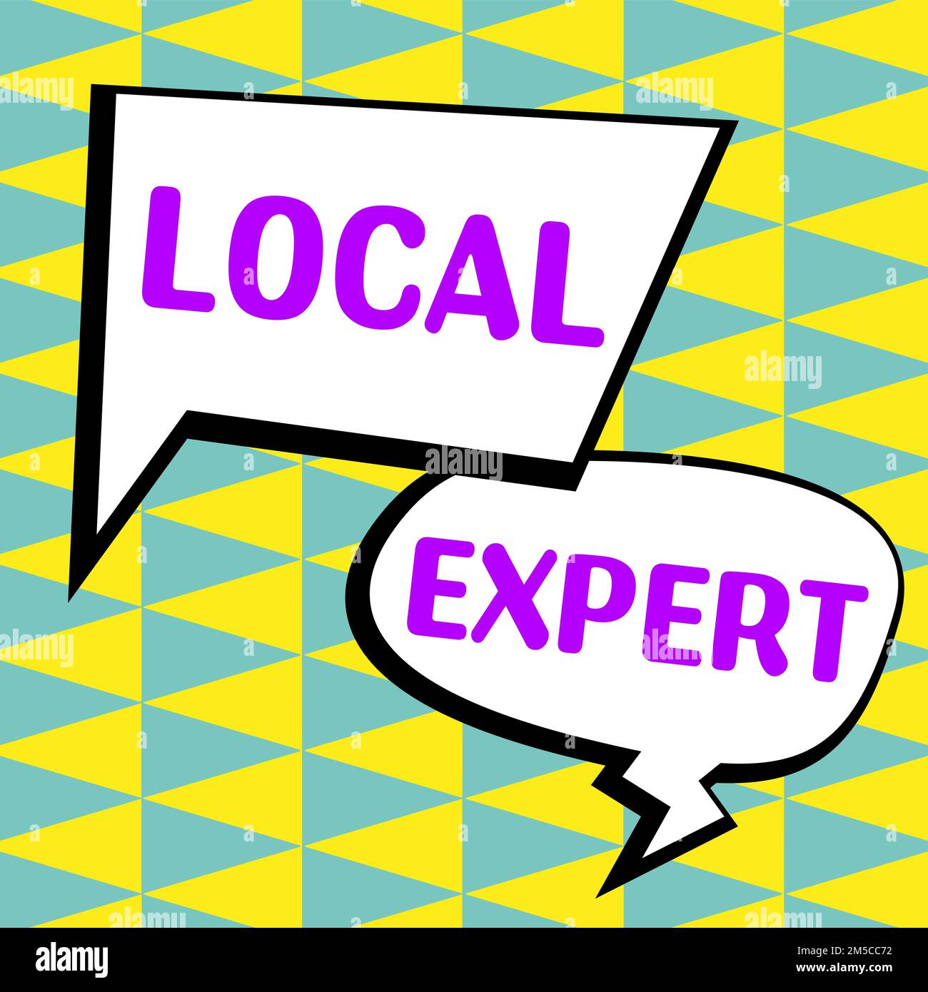 Sign displaying Local Expert. Concept meaning offers expertise and ...