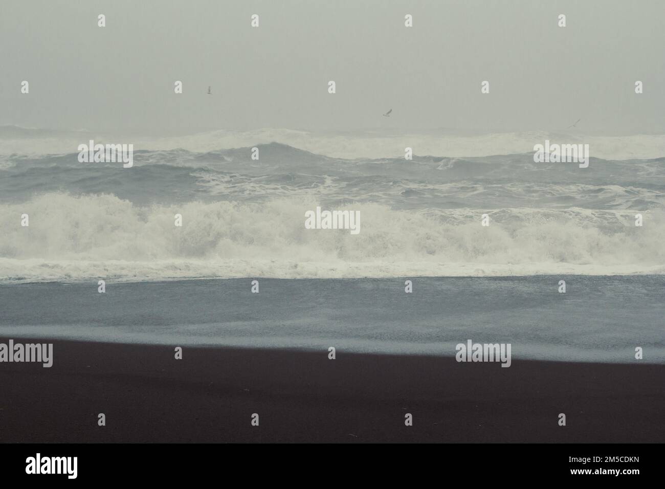 Large waves rolling on beach landscape photo Stock Photo - Alamy