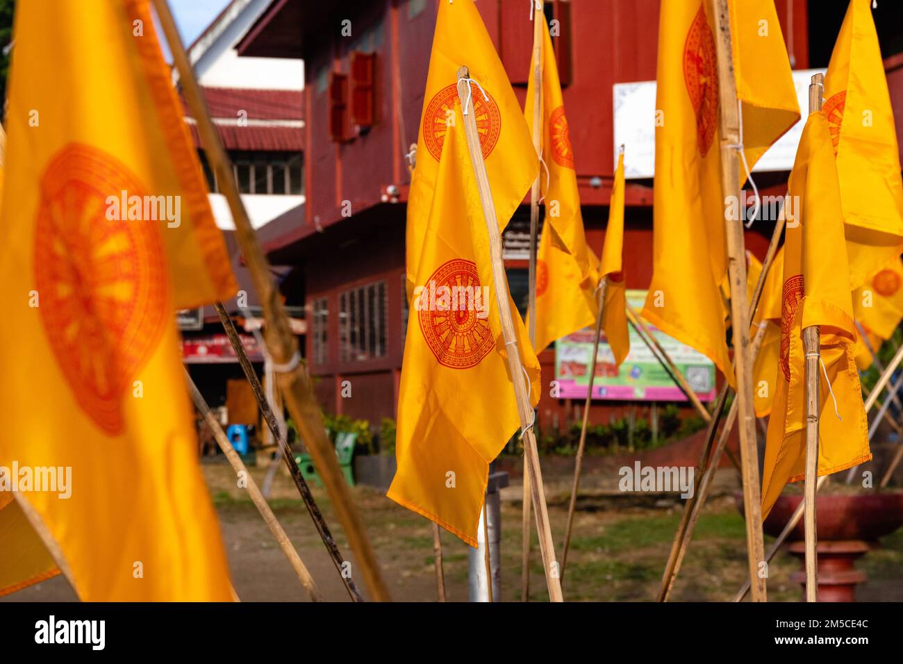 Close up of yellow Buddhist flags (The Dharmacakra flag) outside Phan ...