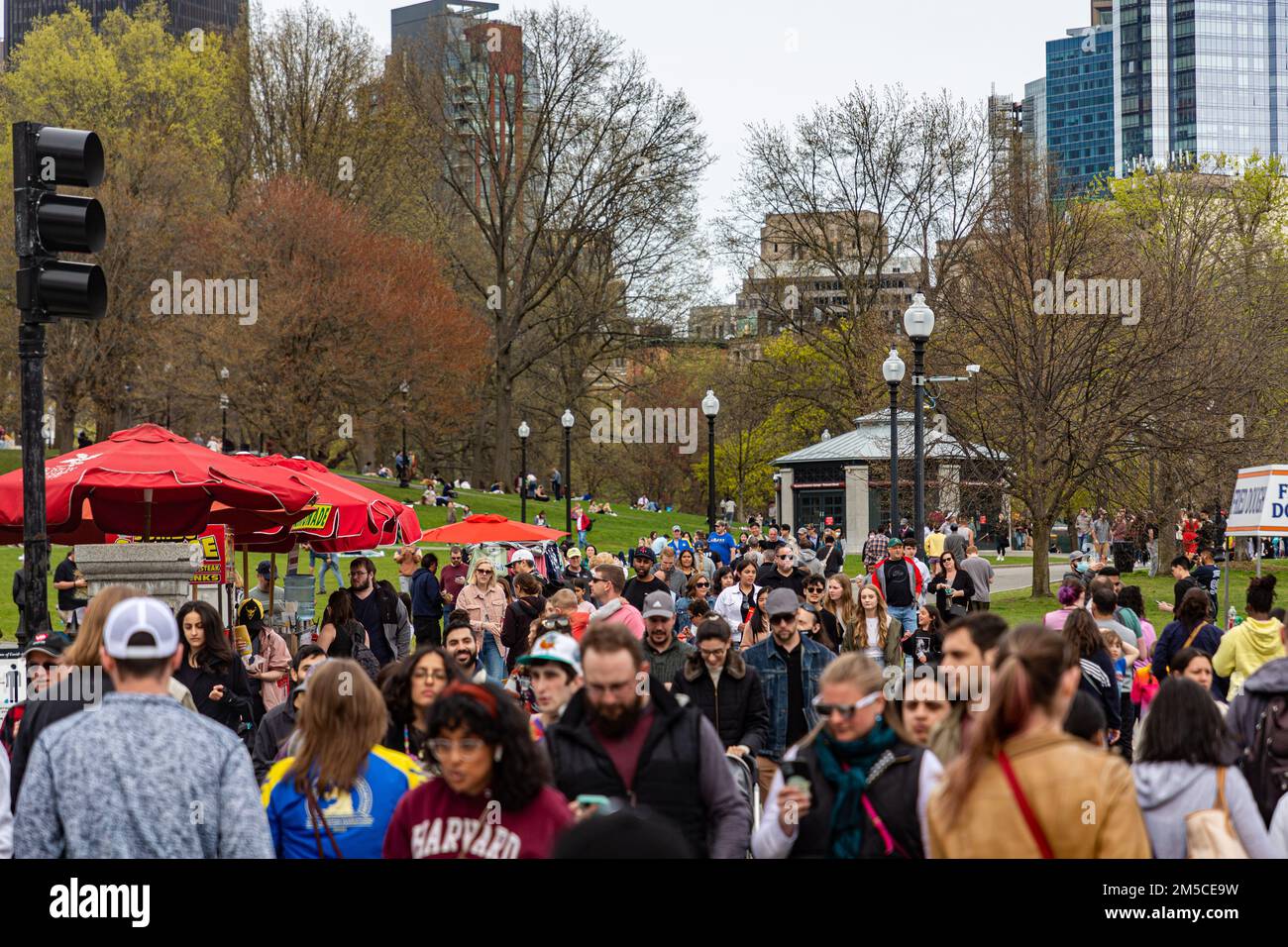 A crowd of people walking in Boston Common on a spring weekend day ...