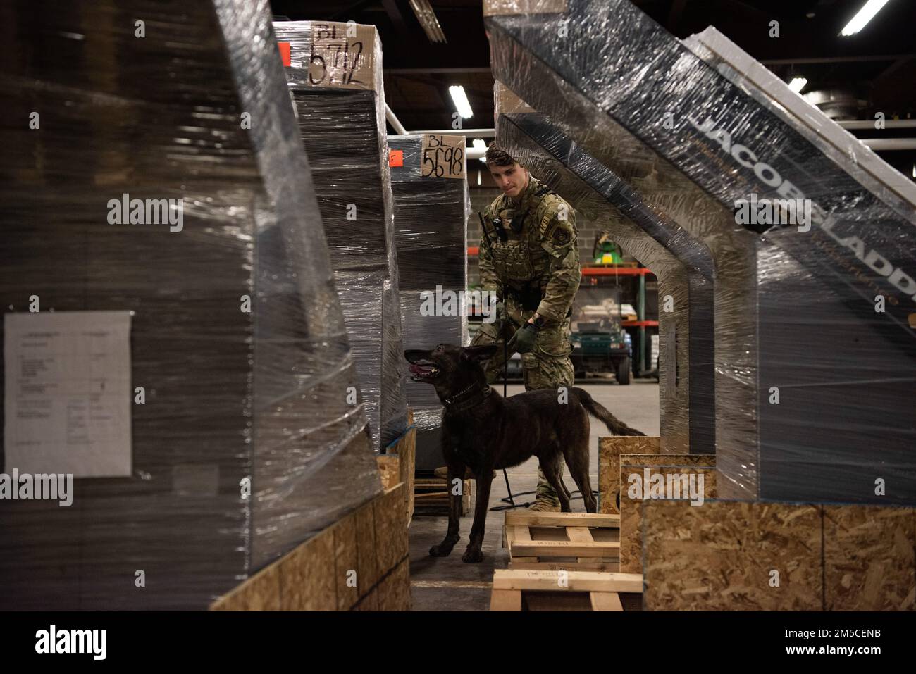 Mwd military working dogs hi-res stock photography and images - Alamy