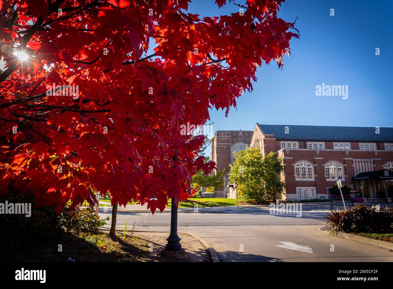 The red leaves against the Purdue University in autumn in West ...