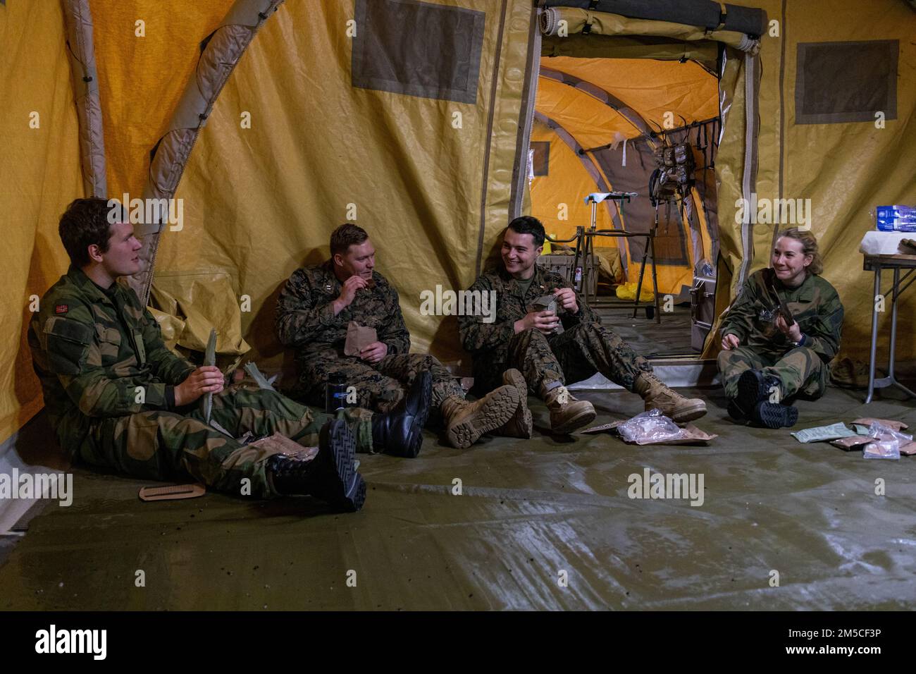 Norwegian Armed Forces service members and U.S. Navy Sailors with 2nd ...