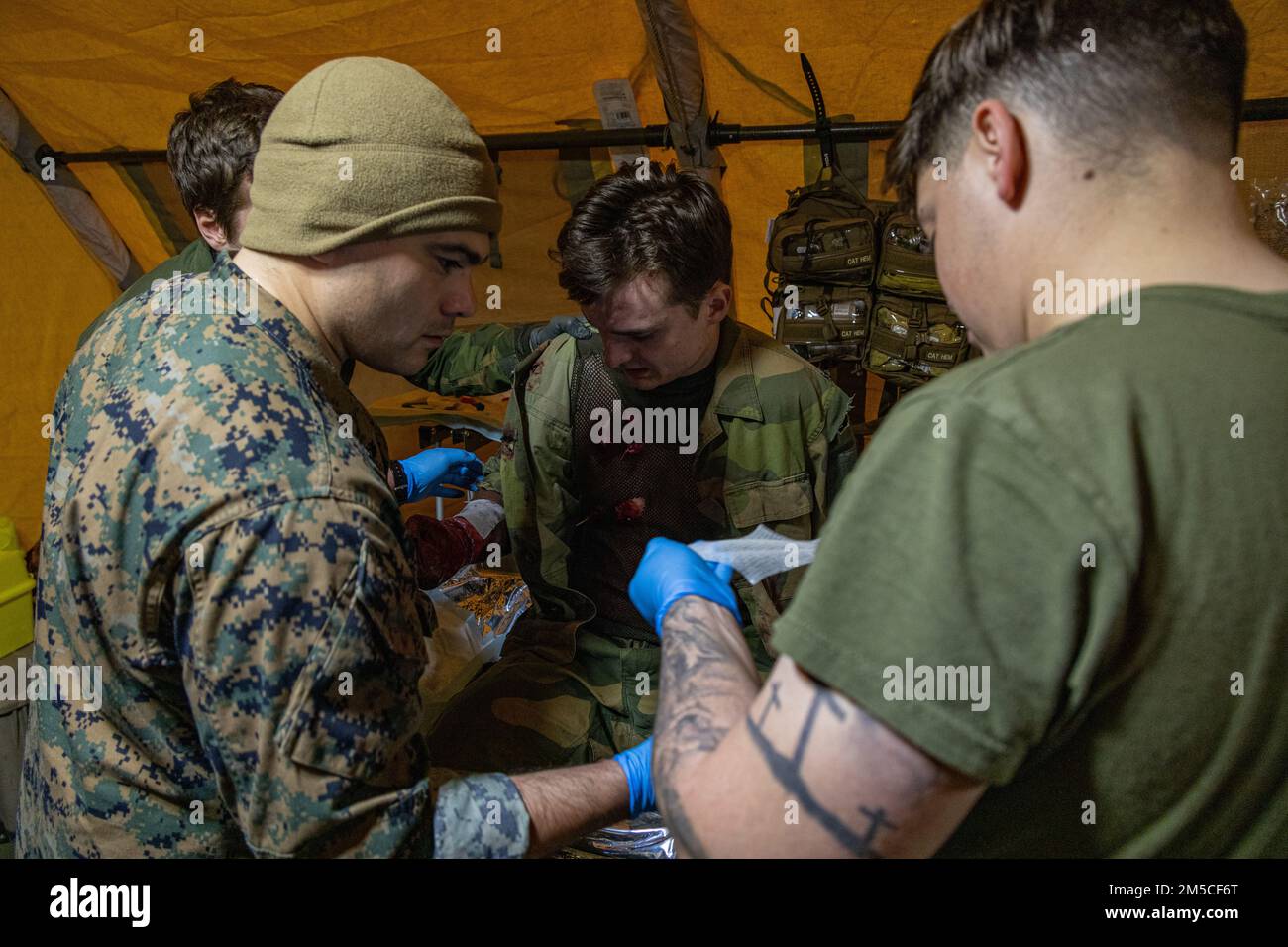A Norwegian Armed Forces service member and U.S. Navy Sailors with 2nd ...