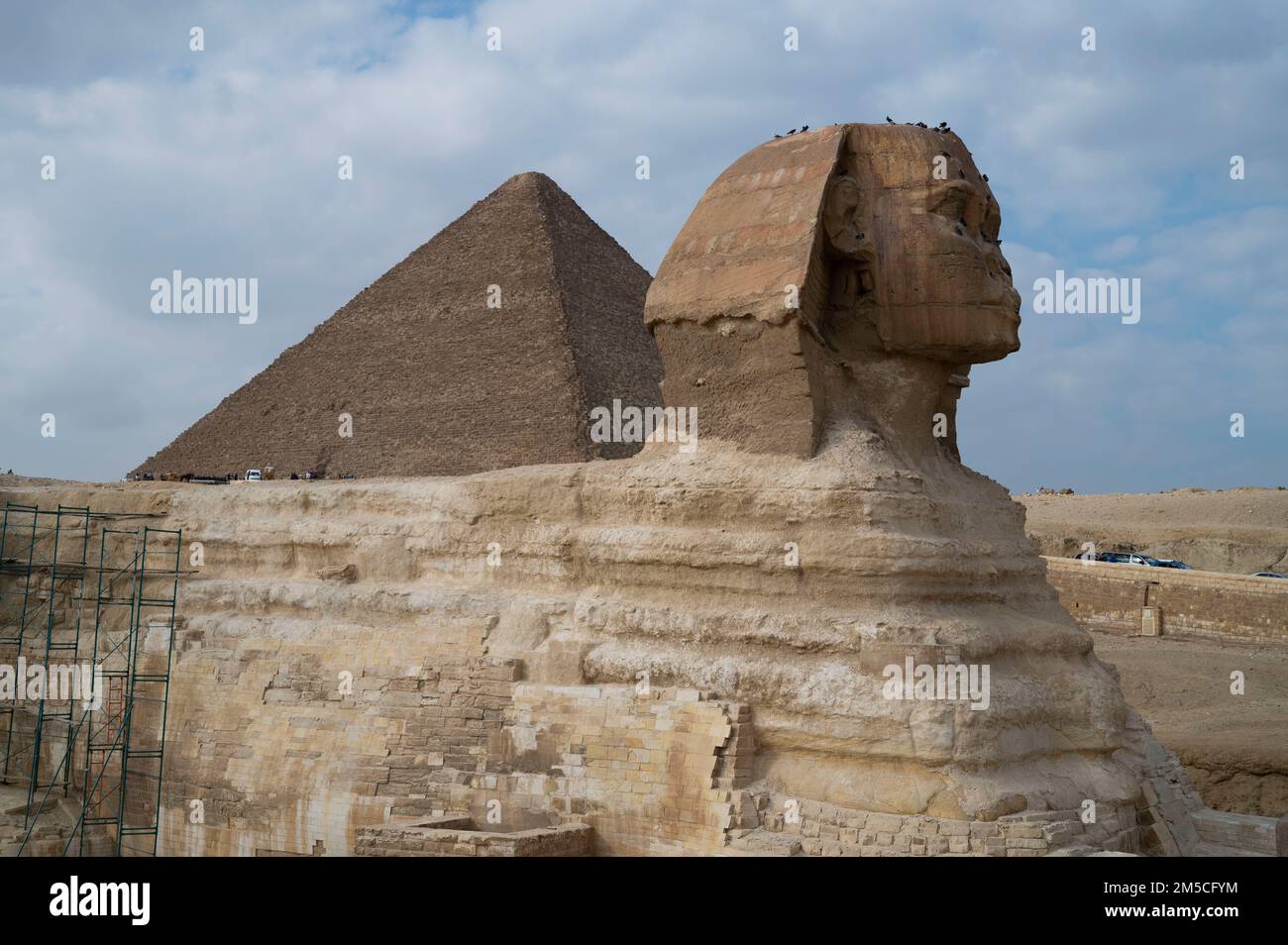 pyramids in giza cairo Stock Photo - Alamy