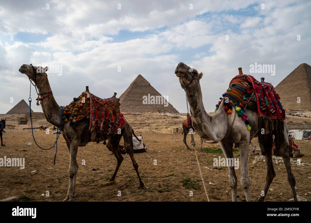 pyramids in giza cairo Stock Photo - Alamy