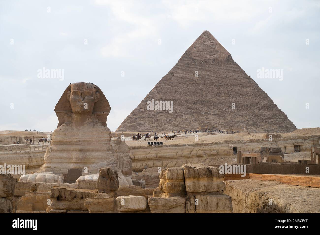 pyramids in giza cairo Stock Photo - Alamy