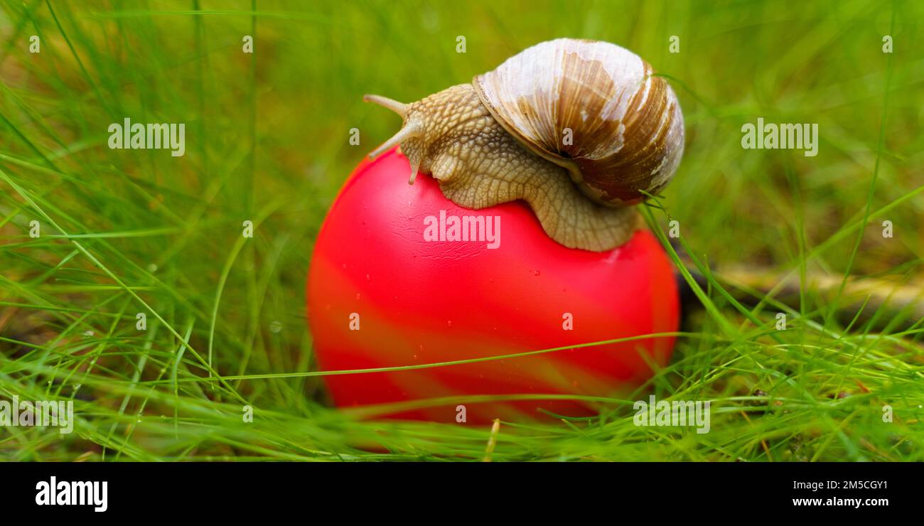 Ecology earth planet heart animation hi-res stock photography and ...