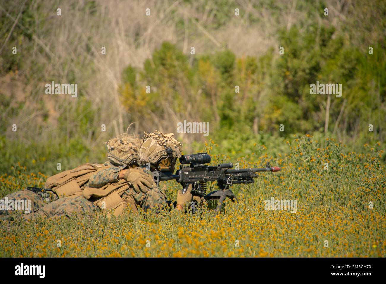 U.S. Marines with Weapons Company, 2d Battalion, 5th Marines (2/5), 1st ...