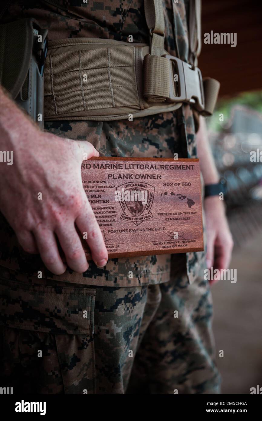 A U.S. Marine with 3d Marine Littoral Regiment, 3d Marine Division ...