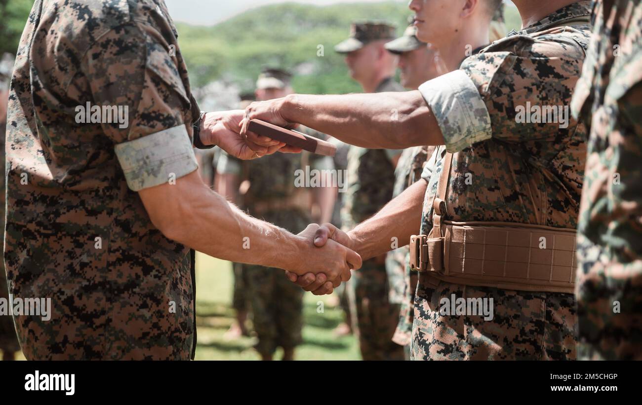 U.S. Marine Corps Col. Timothy S. Brady Jr, commanding officer, 3d ...