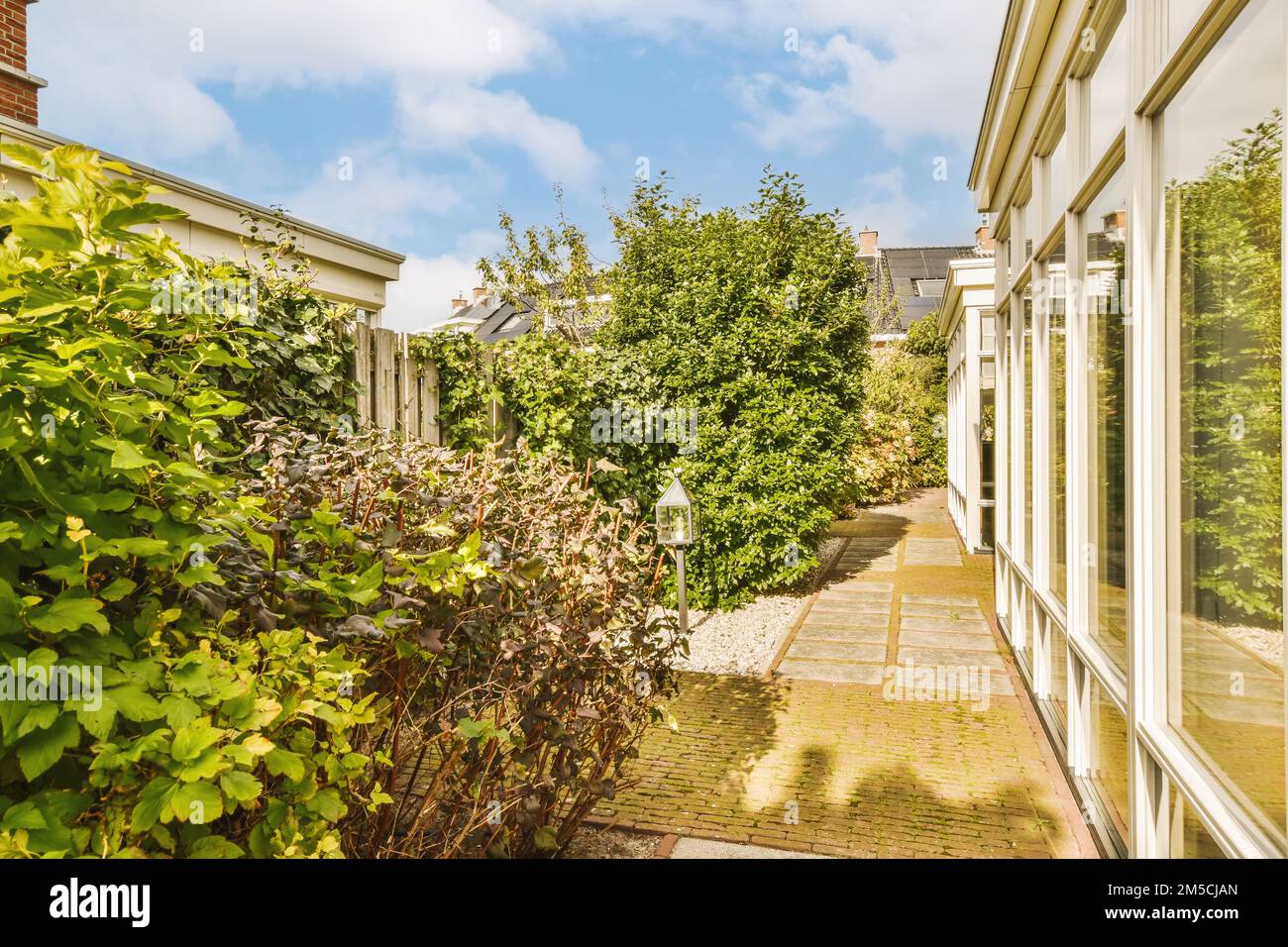 an outside area with trees and bushes in the fore - image is taken from ...