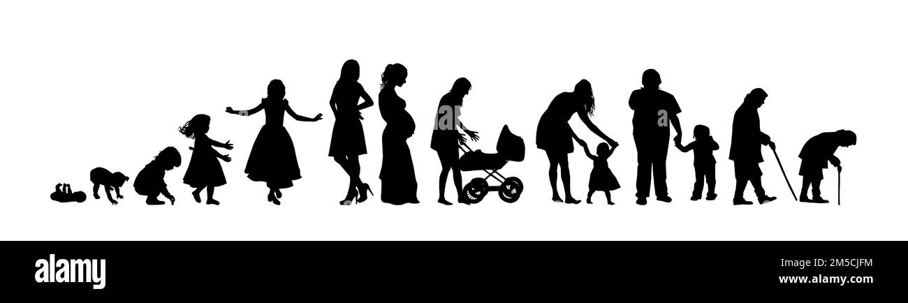 Editable vector silhouettes of different stages of a woman's life ...