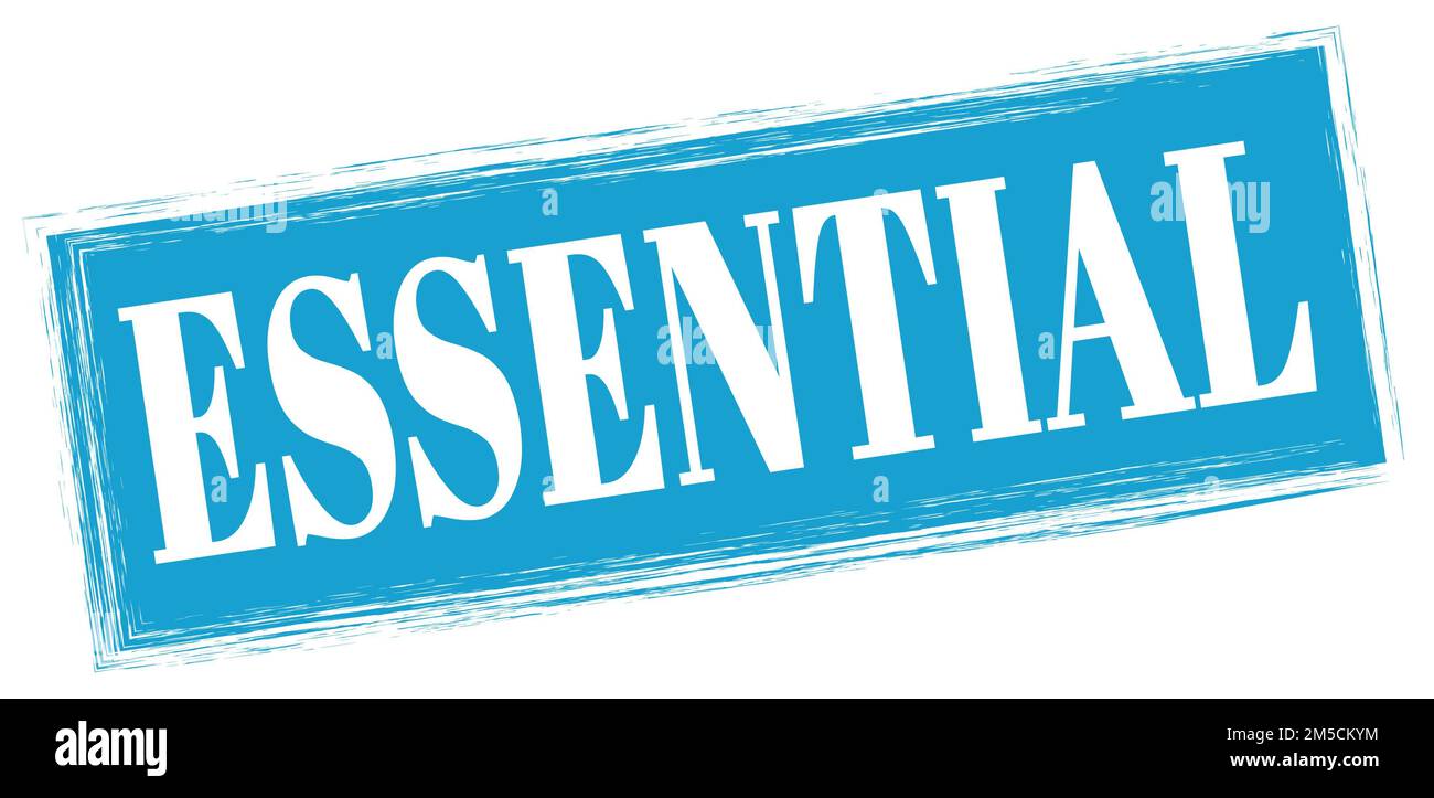 ESSENTIAL text written on blue rectangle stamp sign Stock Photo - Alamy