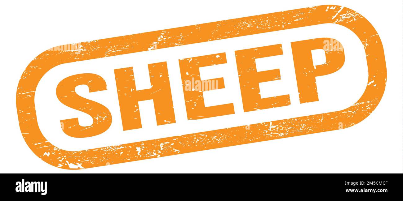 SHEEP, text written on orange rectangle stamp sign Stock Photo - Alamy