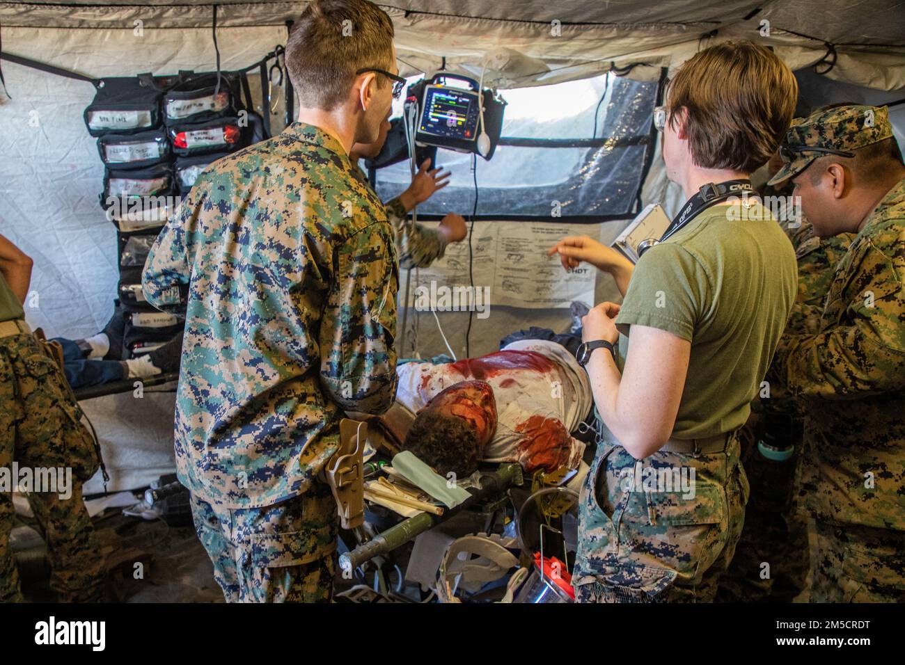 U.S. Navy Corpsman with 2nd MLG, treat a simulated casualty during ...