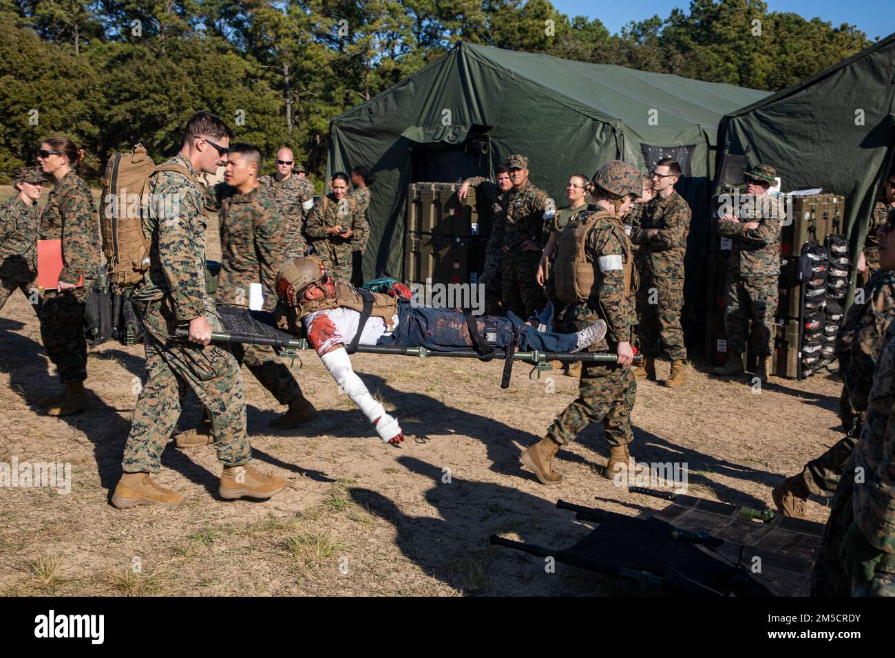 U.S. Navy Corpsman with 2nd MLG, carry a simulated casualty during ...