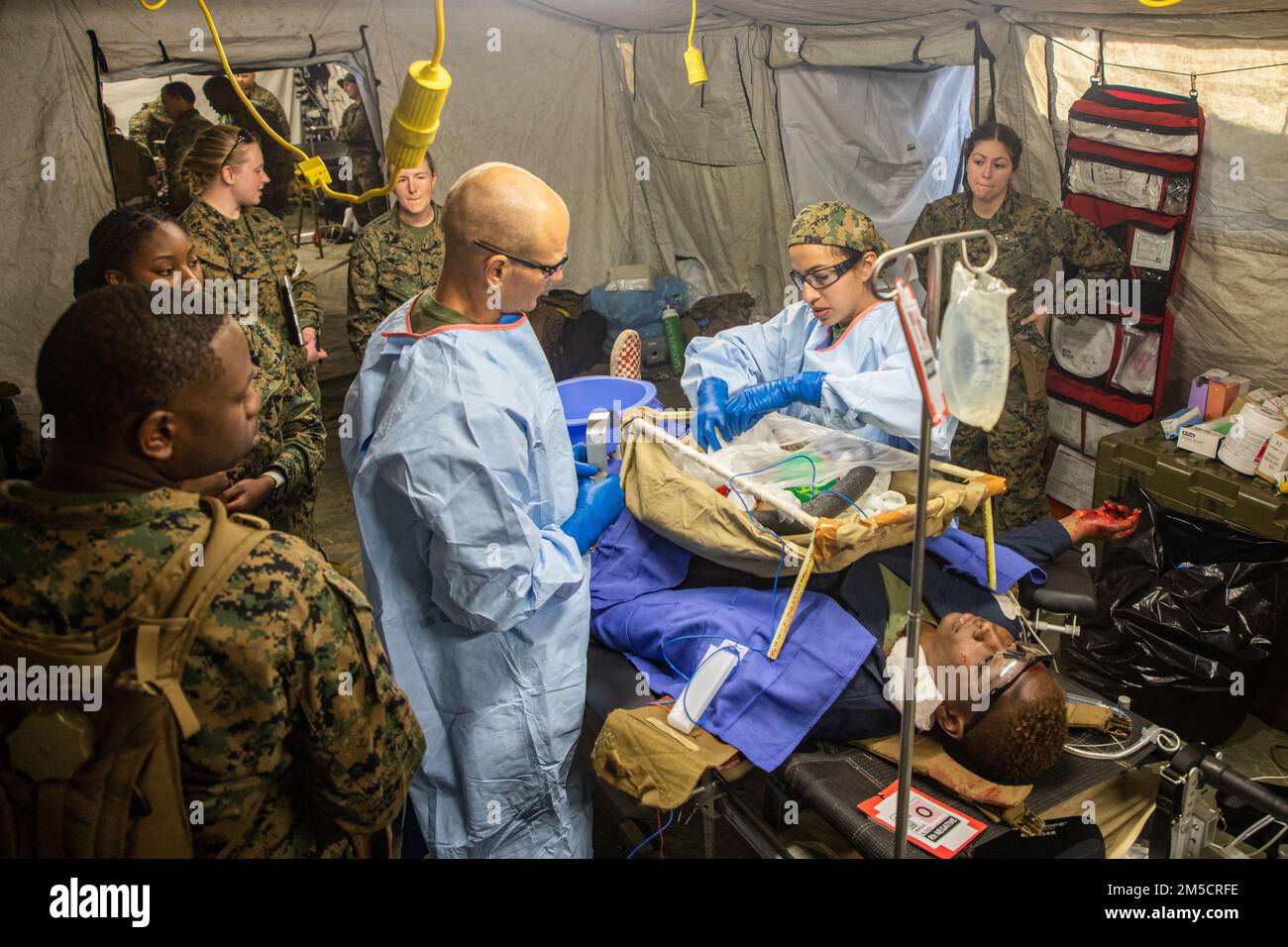 U.S. Navy Corpsman with 2nd MLG, treat a simulated casualty during ...