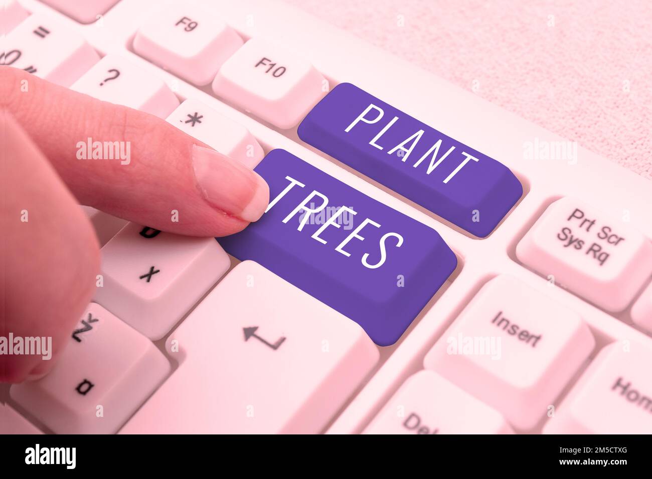 Handwriting text Plant Trees. Conceptual photo process of planting a ...