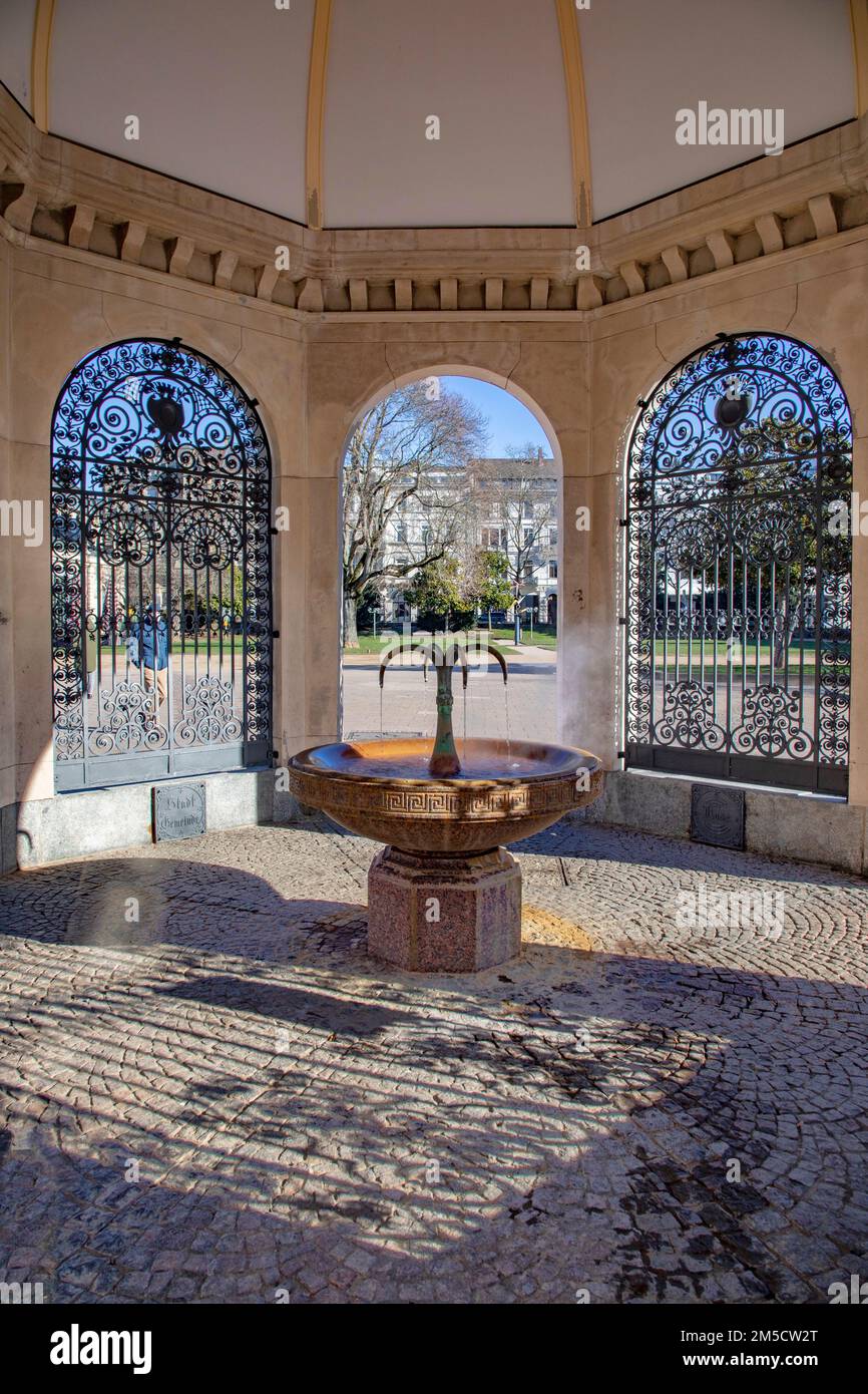 Hort springs hi-res stock photography and images - Alamy